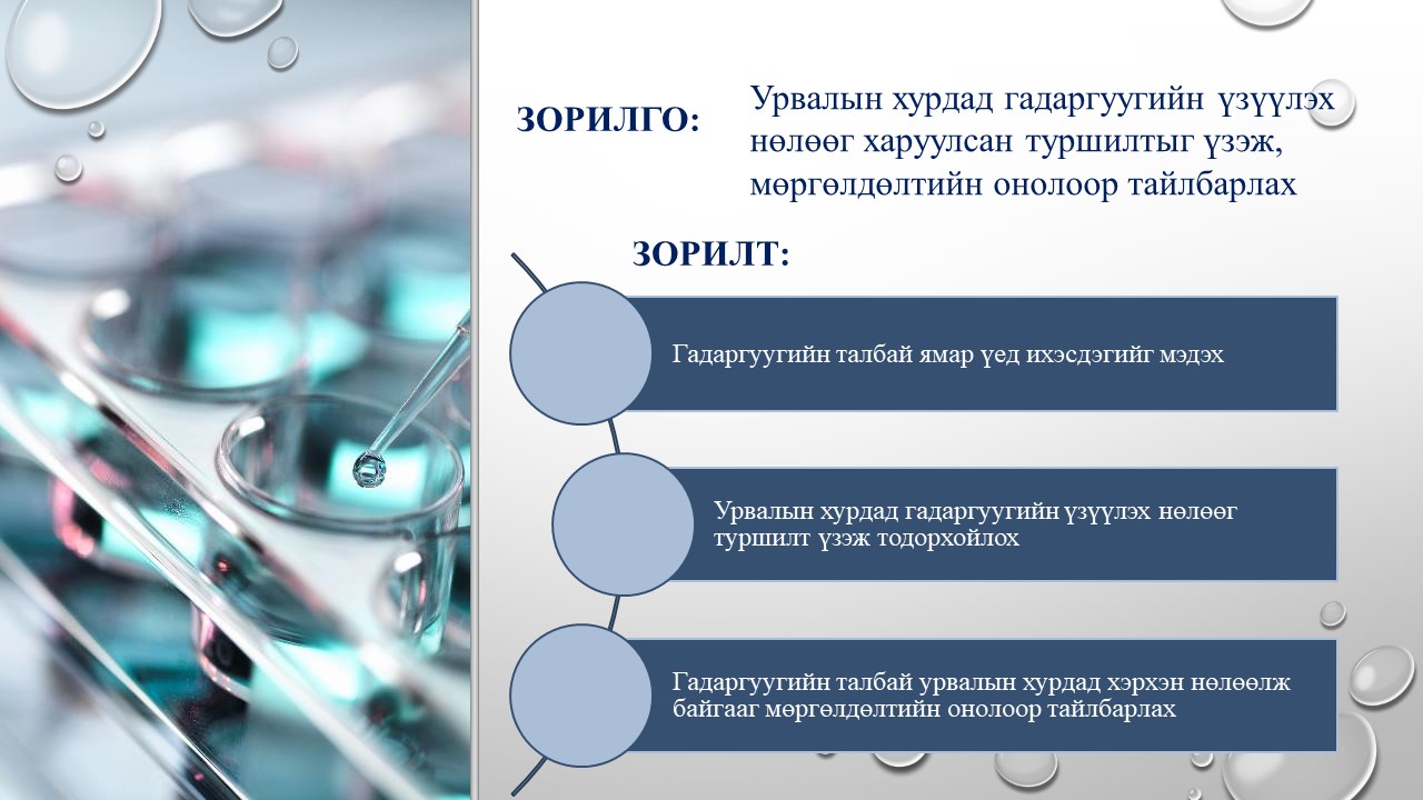Мэдлээ Цахим контент